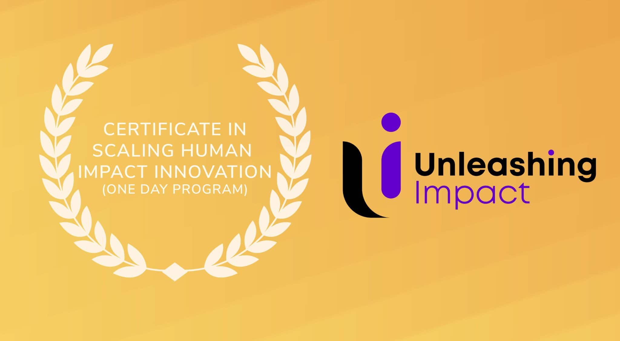 Programs – Unleashing Impact
